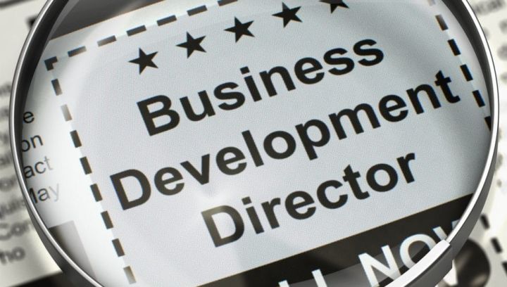 Director of Development: How to Find and Retain One – SHARITY